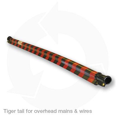 TIGER TAILS